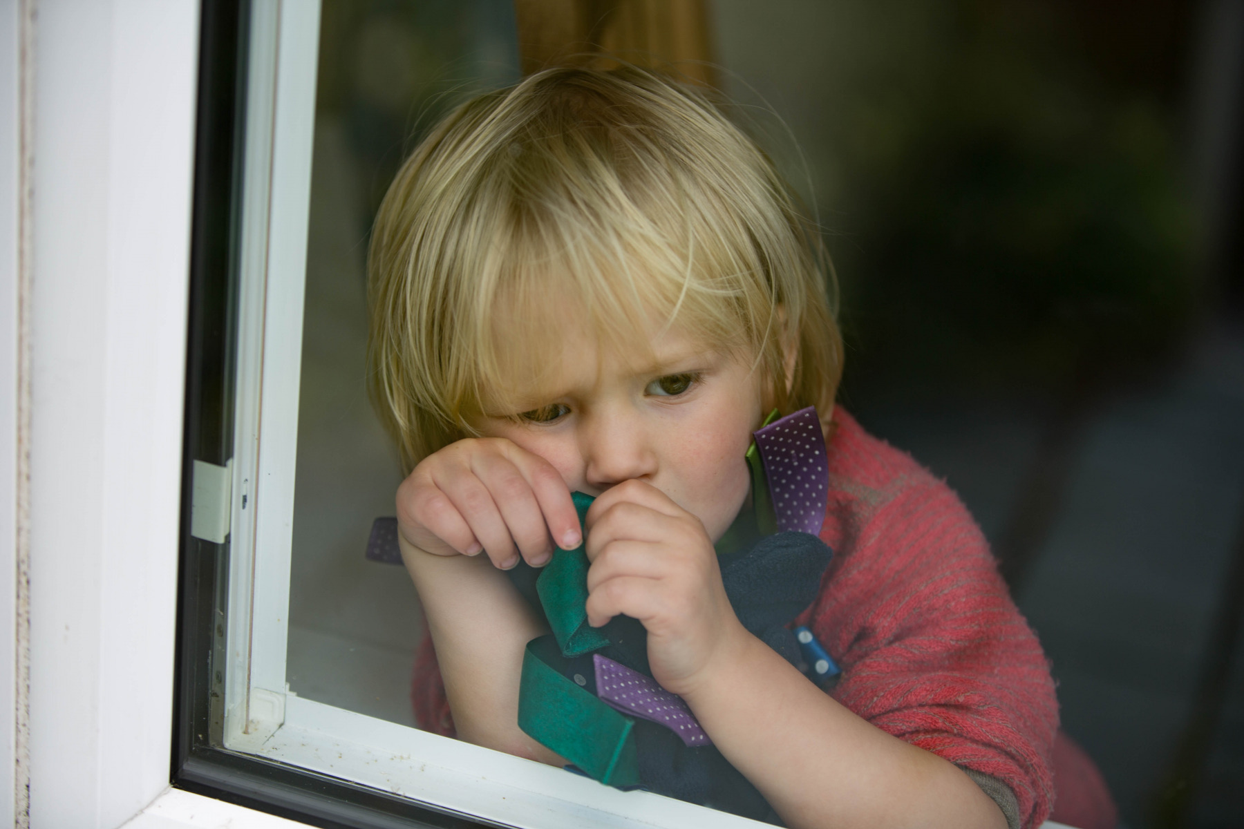 Taegan | Peters Pictures